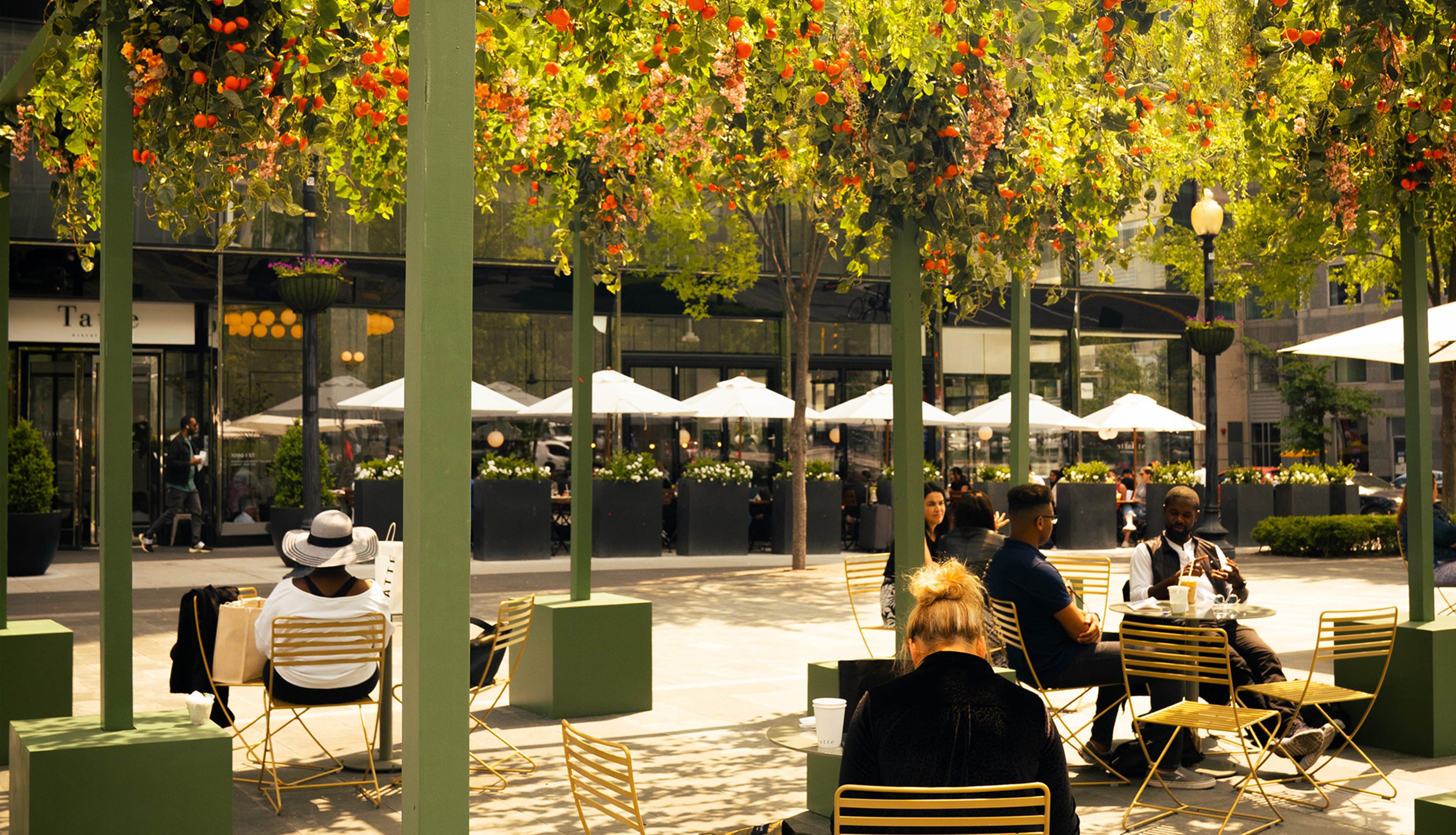 Experience - CityCenterDC