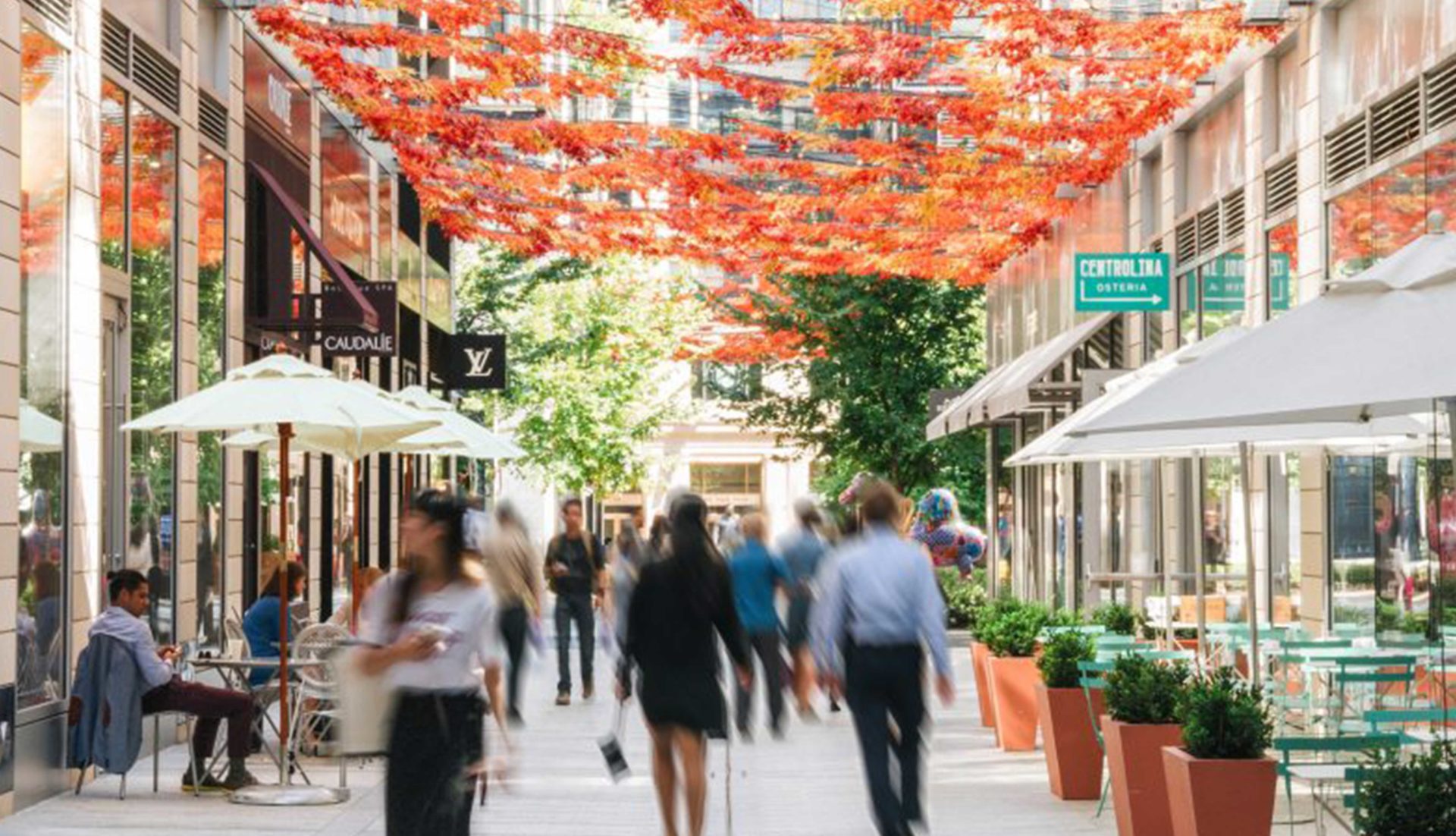 Fall Leaves - CityCenterDC