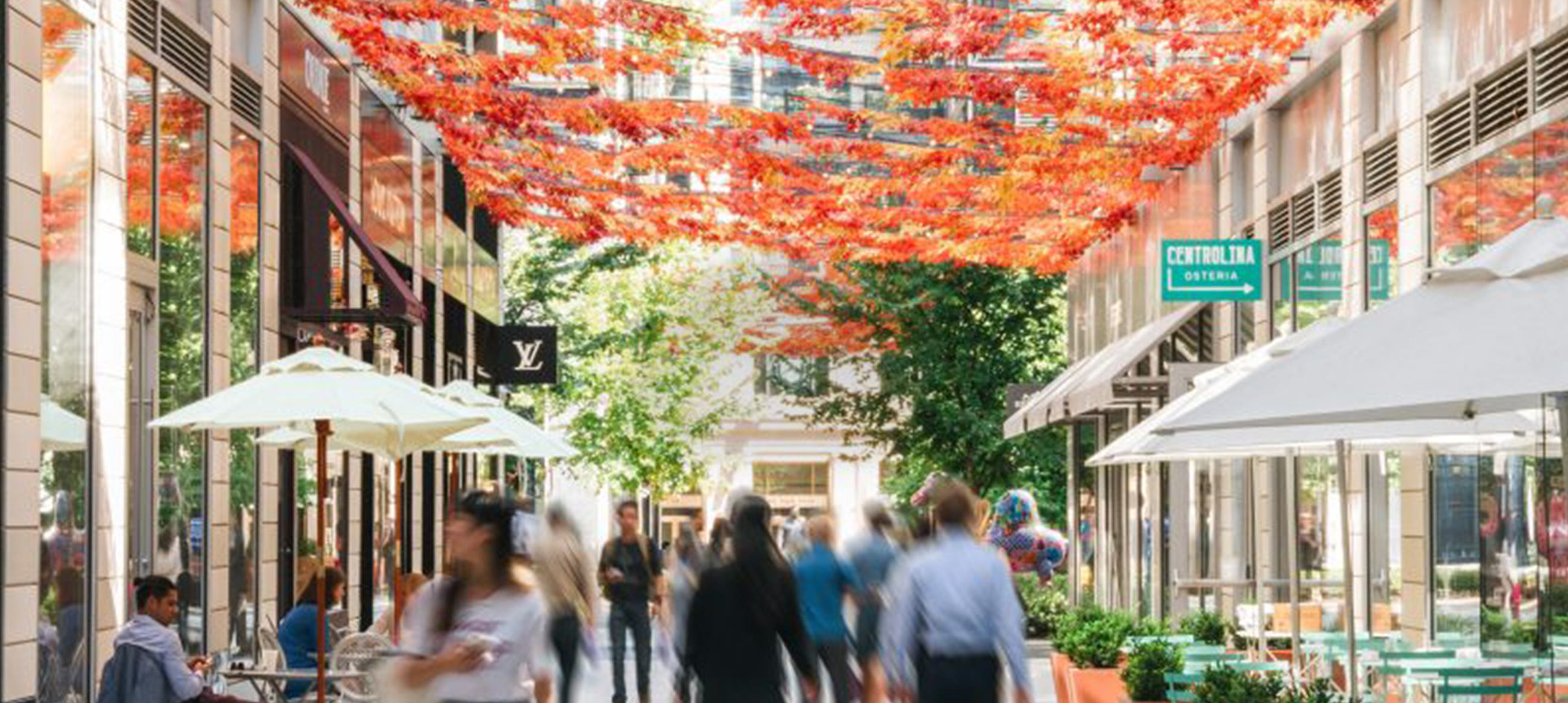 Directory - CityCenterDC